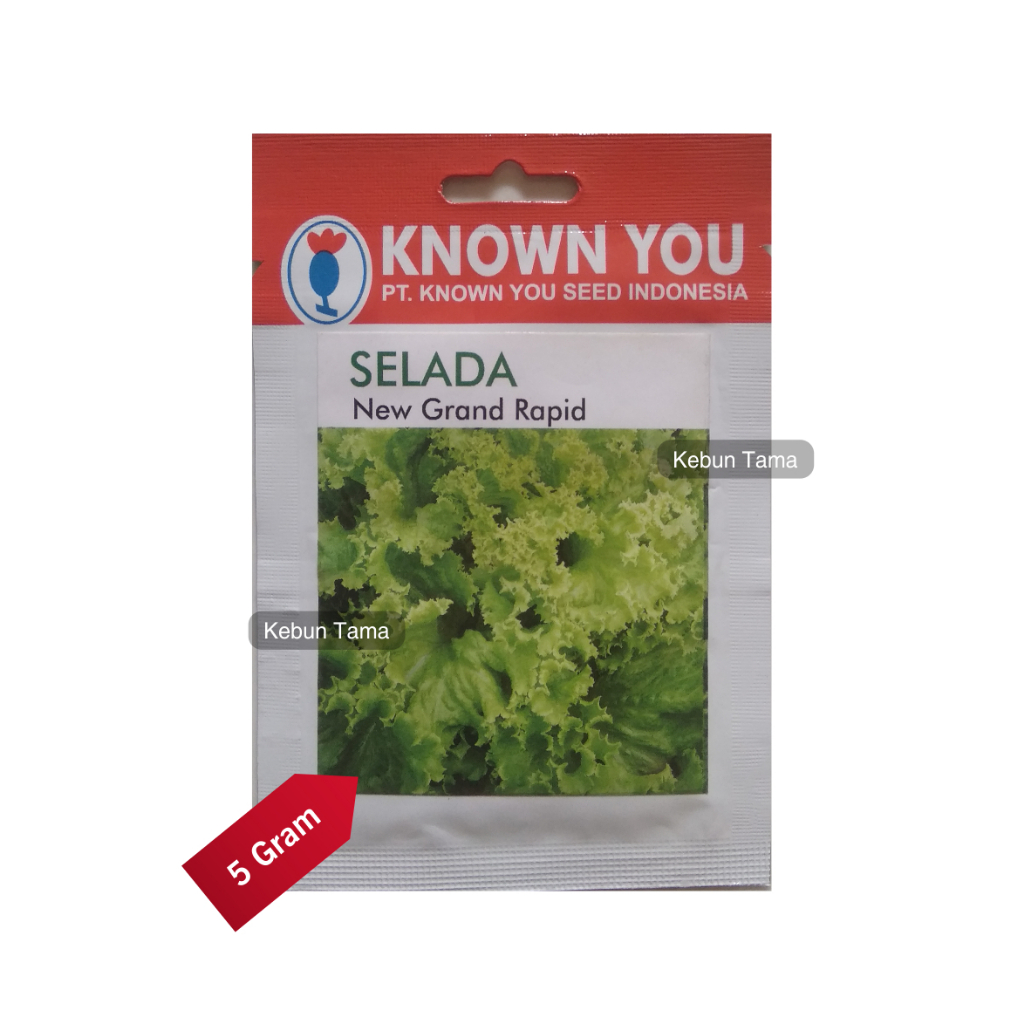 Jual Benih Selada New Grand Rapid Known You Seed Isi 5 Gram KYS | Shopee Indonesia