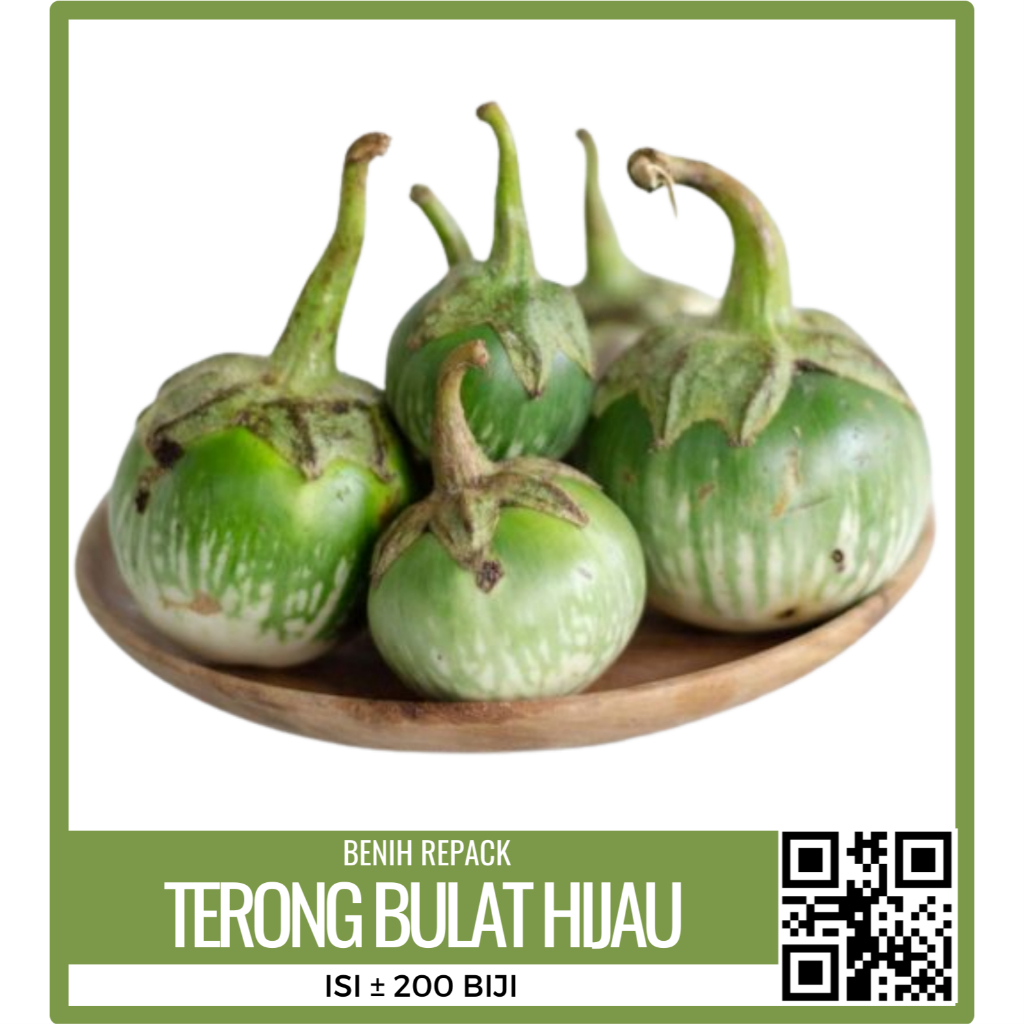 Jual BENIH BIBIT TERONG HIJAU BULAT REPACK ISI 50AN KEMASAN ZIPLOCK ...