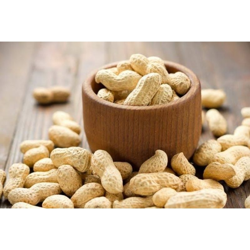 Jual Senzu Bean - Kacang Dragon Ball | Shopee Indonesia