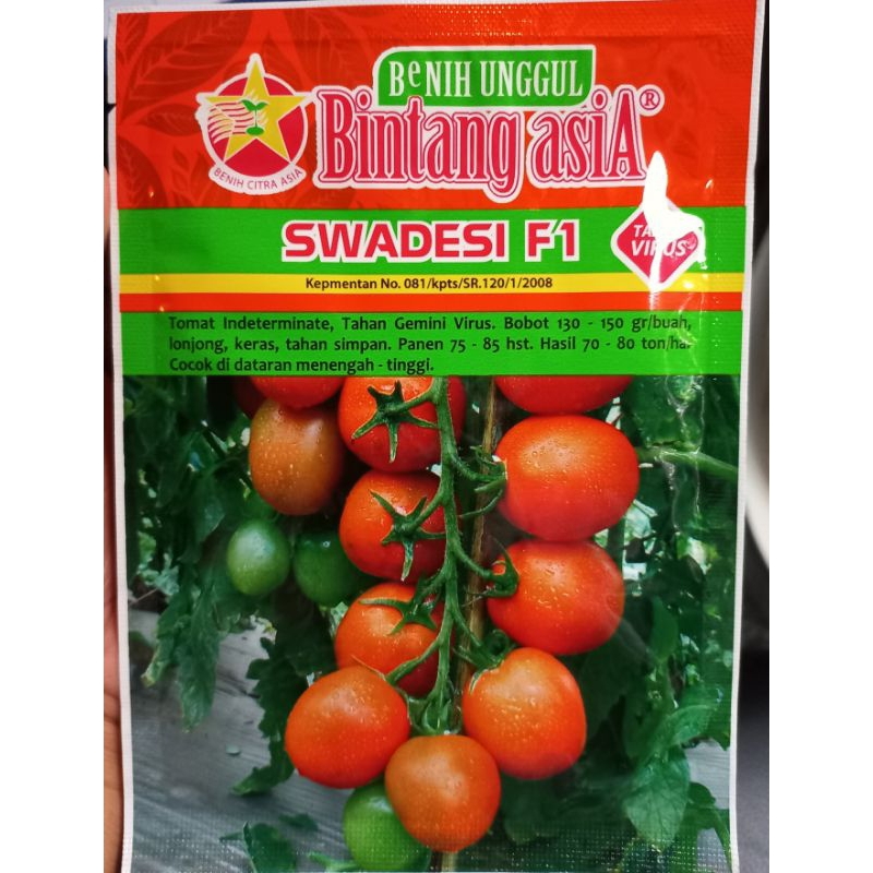 Jual Benih Tomat Besar SWADESI F1 10 Gram Bintang Asia | Shopee Indonesia
