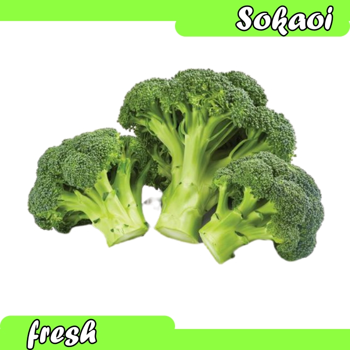Jual SAYUR BROKOLI SEGAR BROKOLI FRESH SAYUR SEGAR | Shopee Indonesia