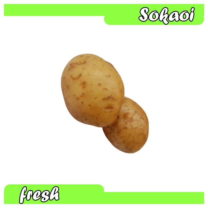 Jual SAYUR KENTANG SEGAR KENTANG UKURAN MEDIUM KENTANG FRESH | Shopee ...