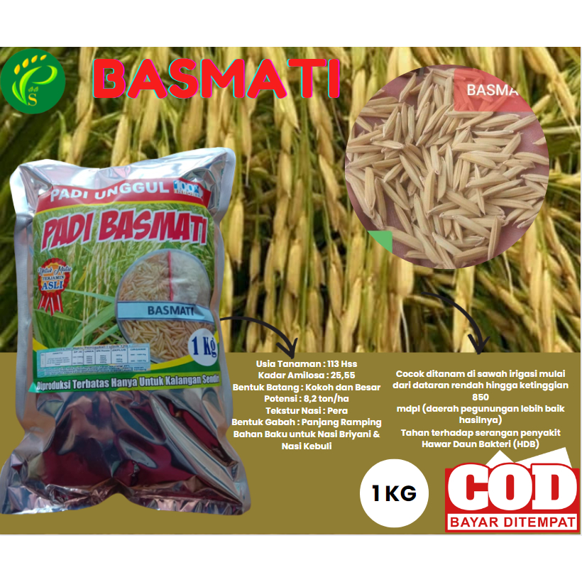 Jual Biji Padi Basmati 1kg | Shopee Indonesia