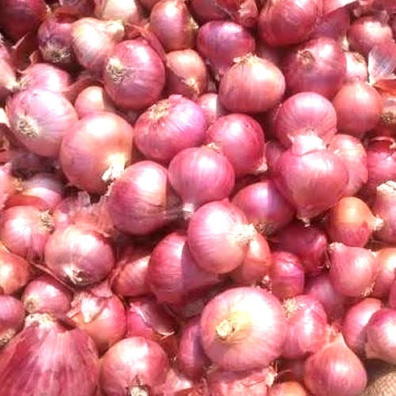 Jual BAWANG MERAH INDIA 1 KG BRAMBANG MERAH IMPORT BAWANG PEKING ...