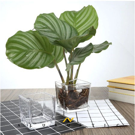 Jual VAS BUNGA KACA KOTAK BENING / POT BUNGA TANAMAN AIR ARTIFISIAL ...