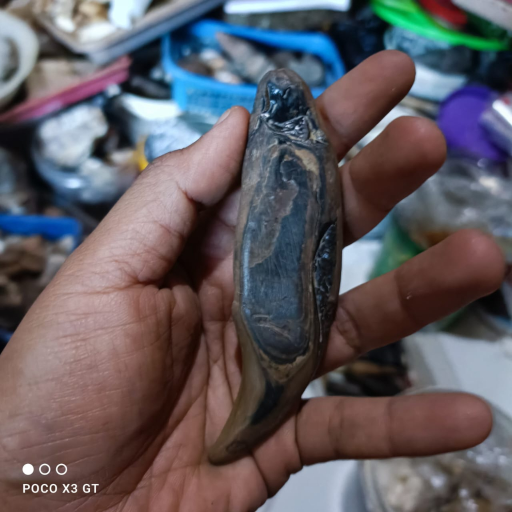 Jual ajimat fosil cakar elang purba jaman dinosaurus bk megantara ...