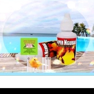 Jual SUPER NGURAK OBAT VITAMIN PERONTOK BULU BURUNG NYULAM TUNTAS CEPAT ...