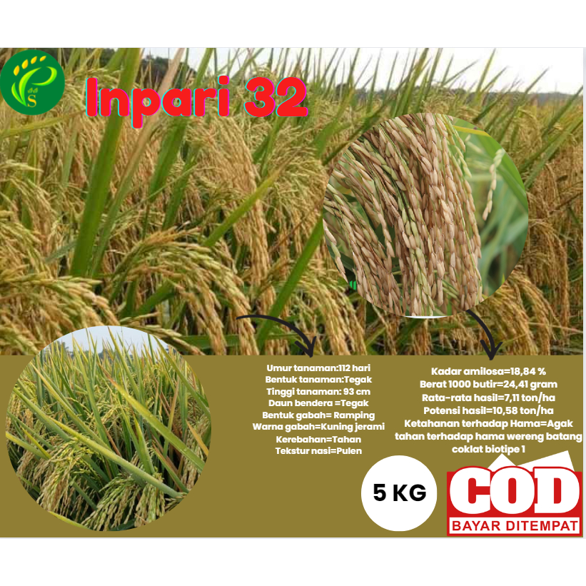 Jual Benih Padi Inpari 32 Premium 5kg | Shopee Indonesia