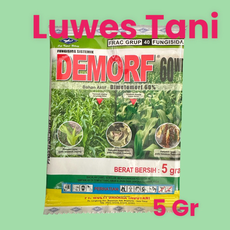 Jual Demorf 60wp 5 gram fungisida untuk bulai jagung perlakuan benih ...