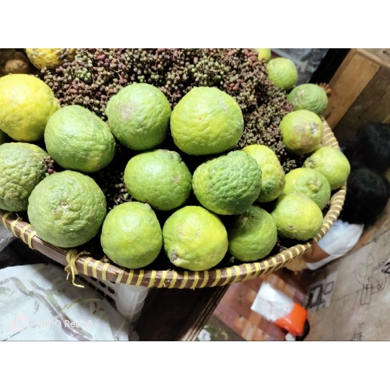 Jual Jeruk Jungga Ute Jungga Asam Jungga Asam Naniurai Perbiji | Shopee ...