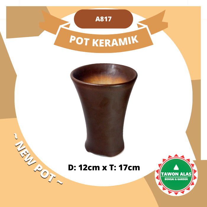 Jual Pot Bonsai Keramik Tinggi Bundar Cascade Mame | Shopee Indonesia
