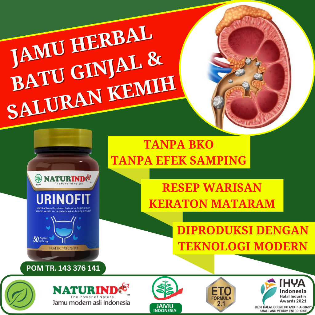 Jual Obat Herbal Batu Ginjal Obat Kencing Batu Obat Herbal Infeksi ...
