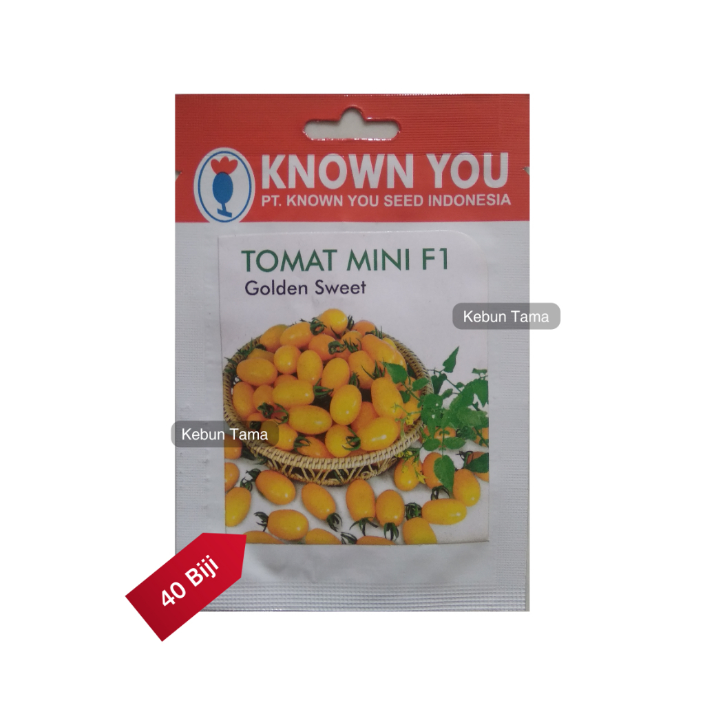 Jual Benih Tomat Mini Golden Sweet F1 Tomat Cherry Known You Seed KYS ...