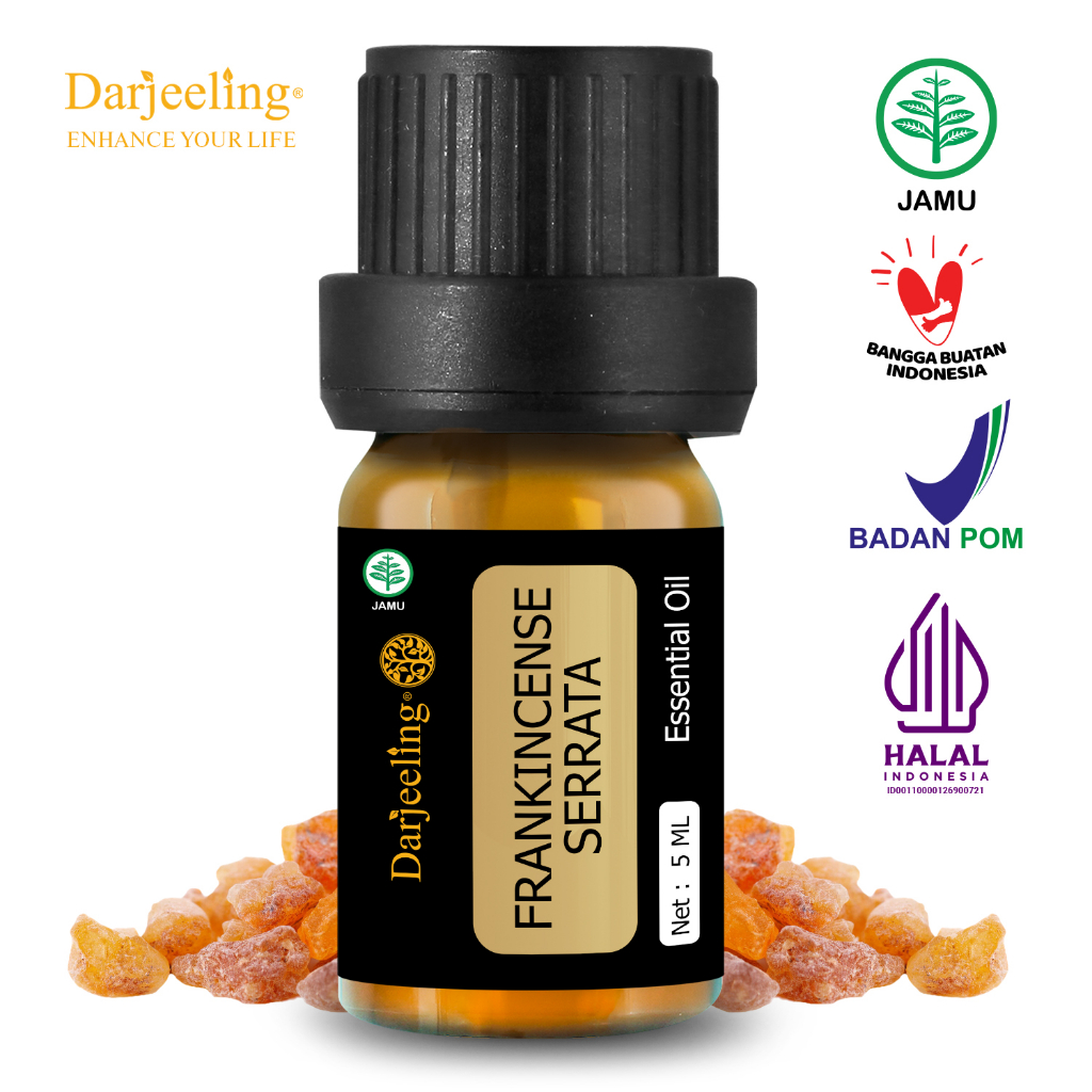 Jual Darjeeling Frankincense Essential Oil / Minyak Luban Kemenyan Arab ...
