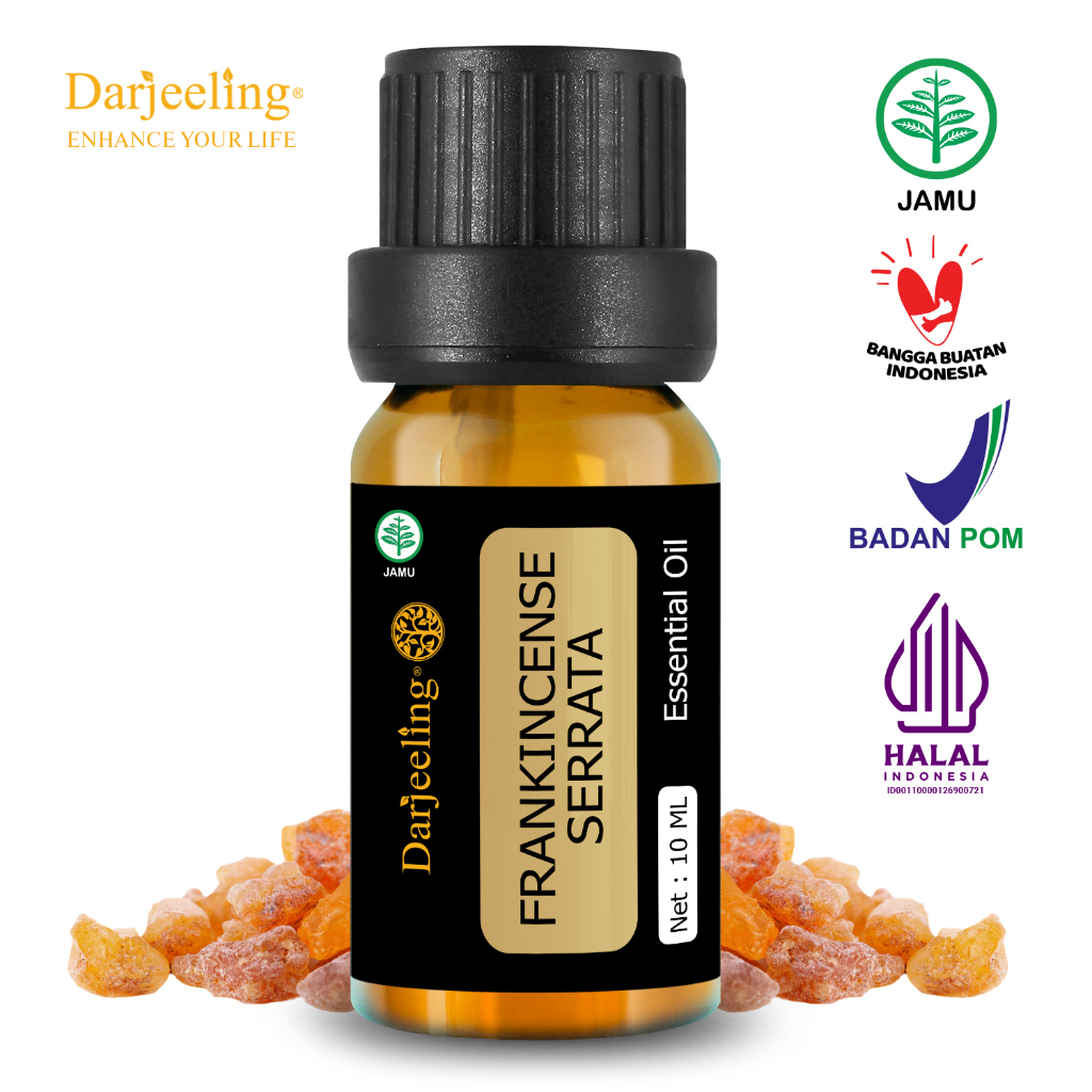 Jual Darjeeling Frankincense Essential Oil / Minyak Frankincense ... Jual Darjeeling Frankincense Essential Oil / Minyak Frankincense ...
