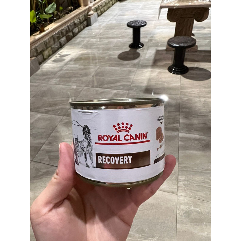Jual Royal Canin Recovery Dog Cat Wet Food 195gr | Shopee Indonesia