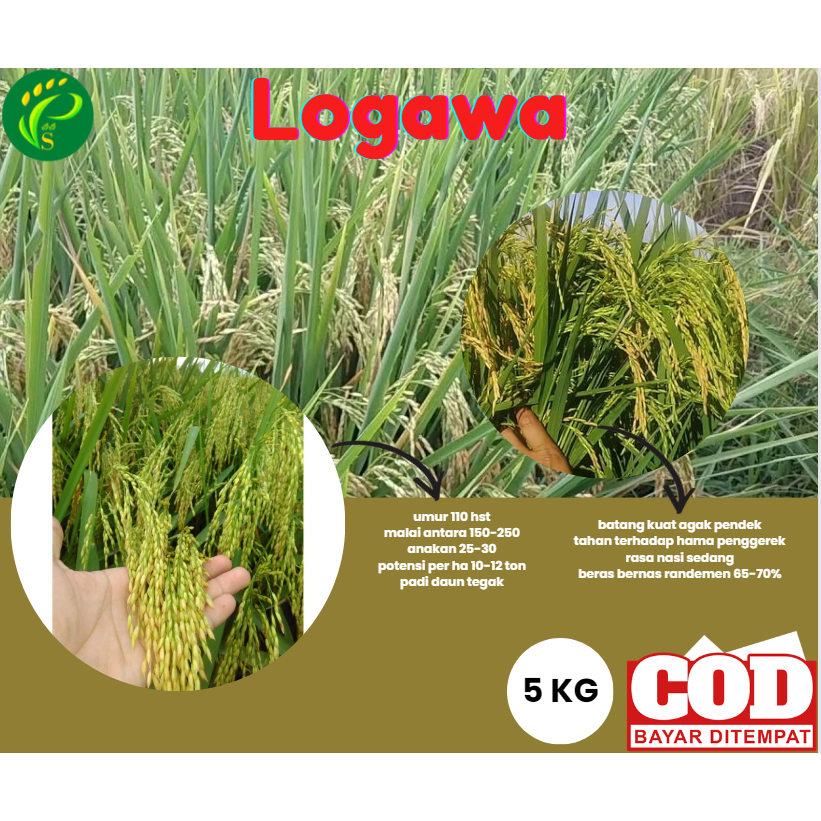 Jual Biji Unggul Padi Super Logawa Kemasan 5 Kg | Shopee Indonesia