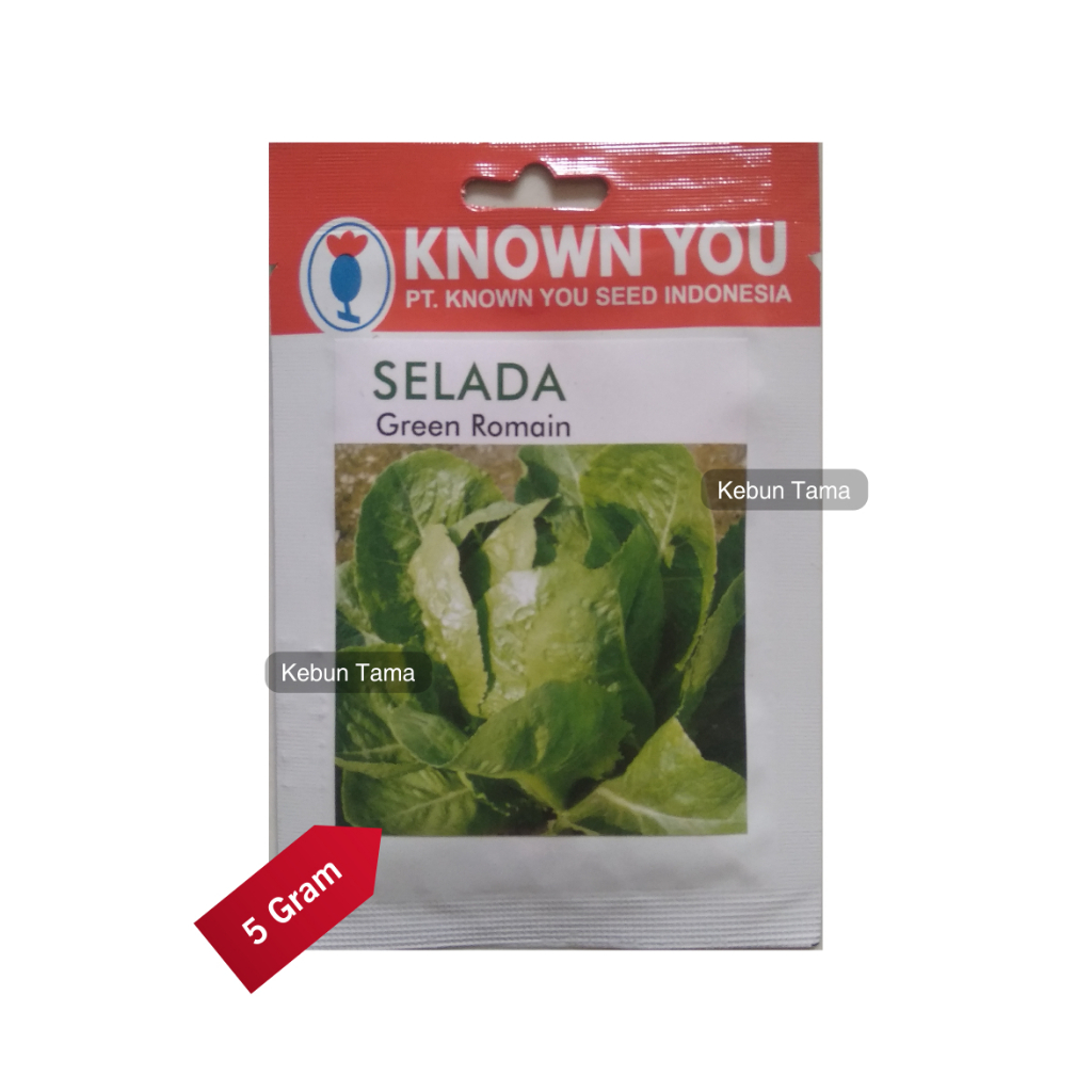 Jual Benih Selada Butterhead Green Romaine Known You Seed Isi 5 Gram KYS | Shopee Indonesia