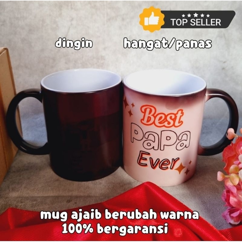 Jual Kado Hari Ayah / Hadiah Ayah Mug Ajaib / Mug Fathers Day | Shopee ...
