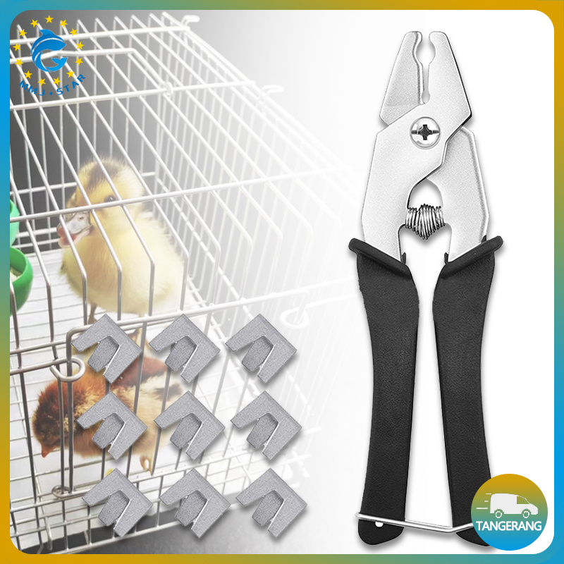 Jual Alat Tang Pengikat Kandang Dan 300Pcs Klip/Tang Klem Kandang ...