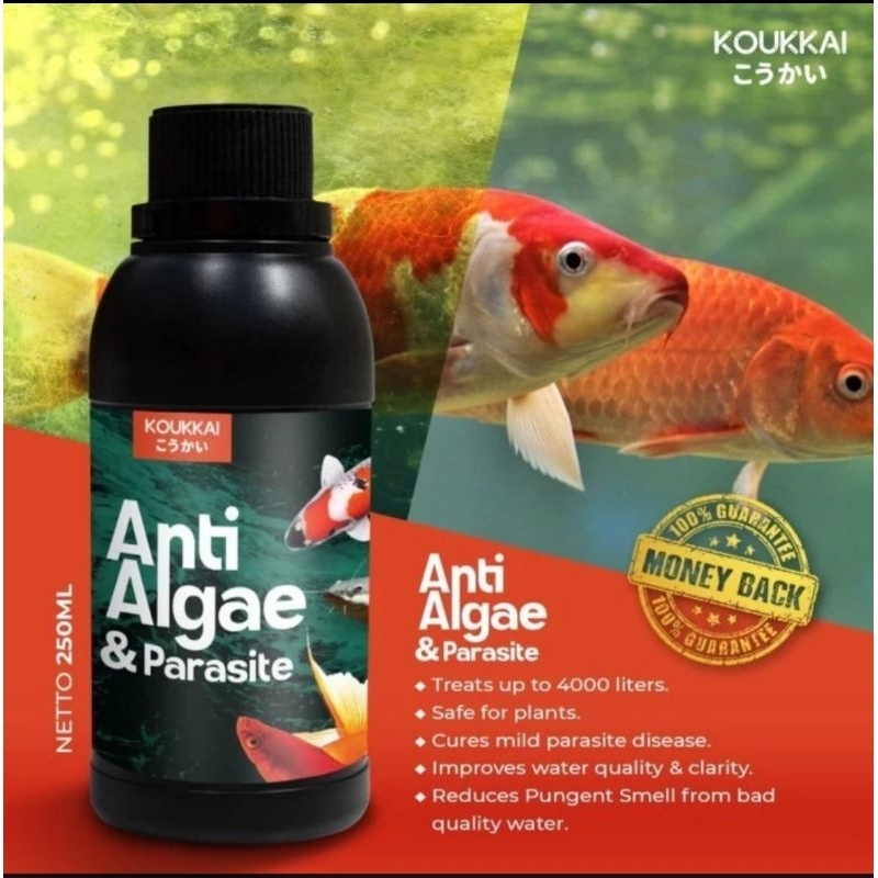 Jual anti algae & parasite koukkai 250 ml | Shopee Indonesia