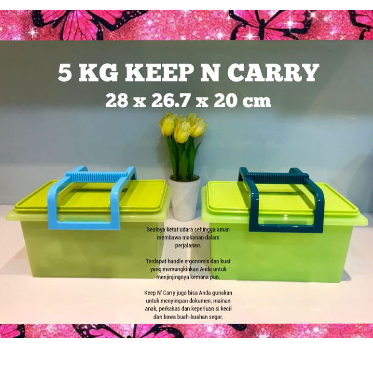 Jual PROMO Tupperware Keep n Carry 5KG | Shopee Indonesia