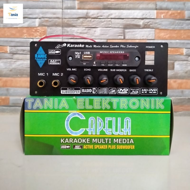 Jual KIT ACTIVE SPEAKER ECHO CAPELLA | Shopee Indonesia