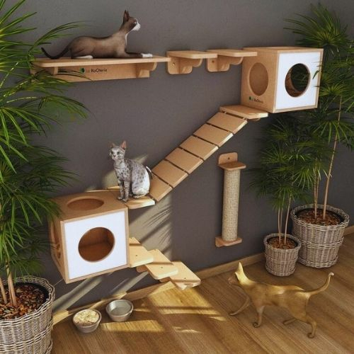 Jual Cat wall playground / Cat condo / Cat tree / Garukan kucing ...
