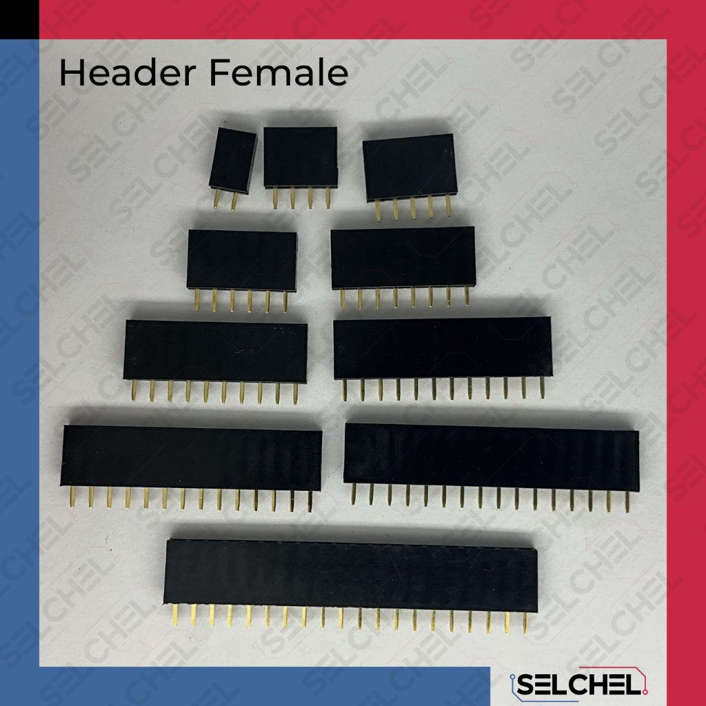 Jual Header Female 2.54mm 1x2 sampai 1x20 berbagai ukuran | Shopee ...