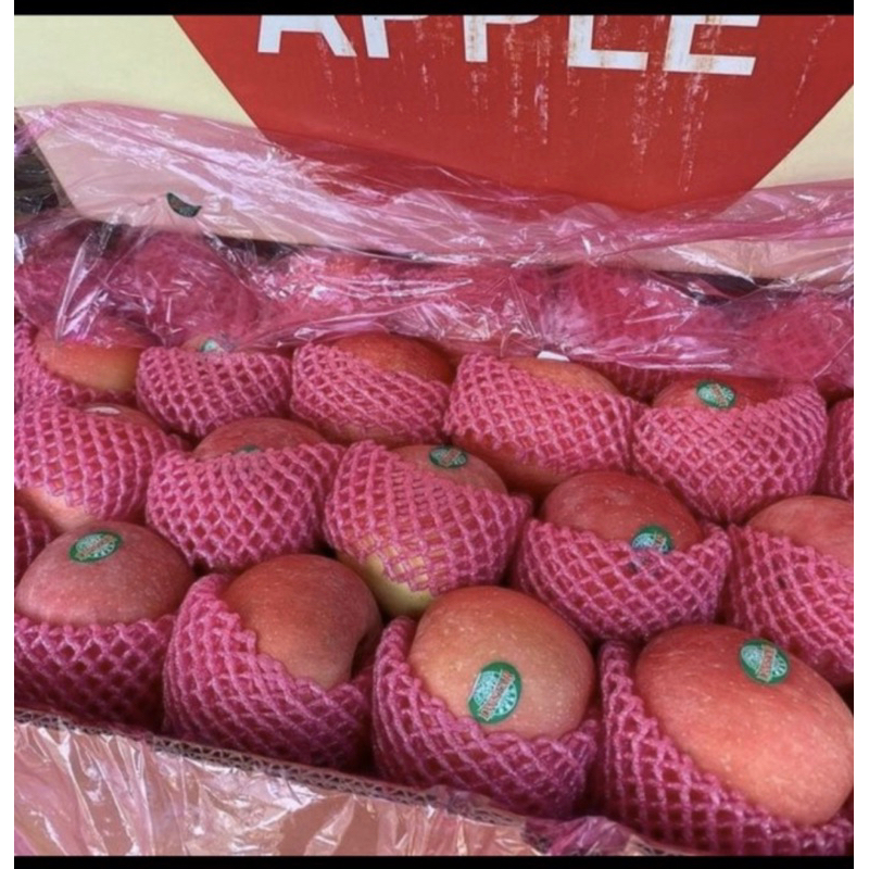Jual buah apel Fuji fresh import 1 dus | Shopee Indonesia