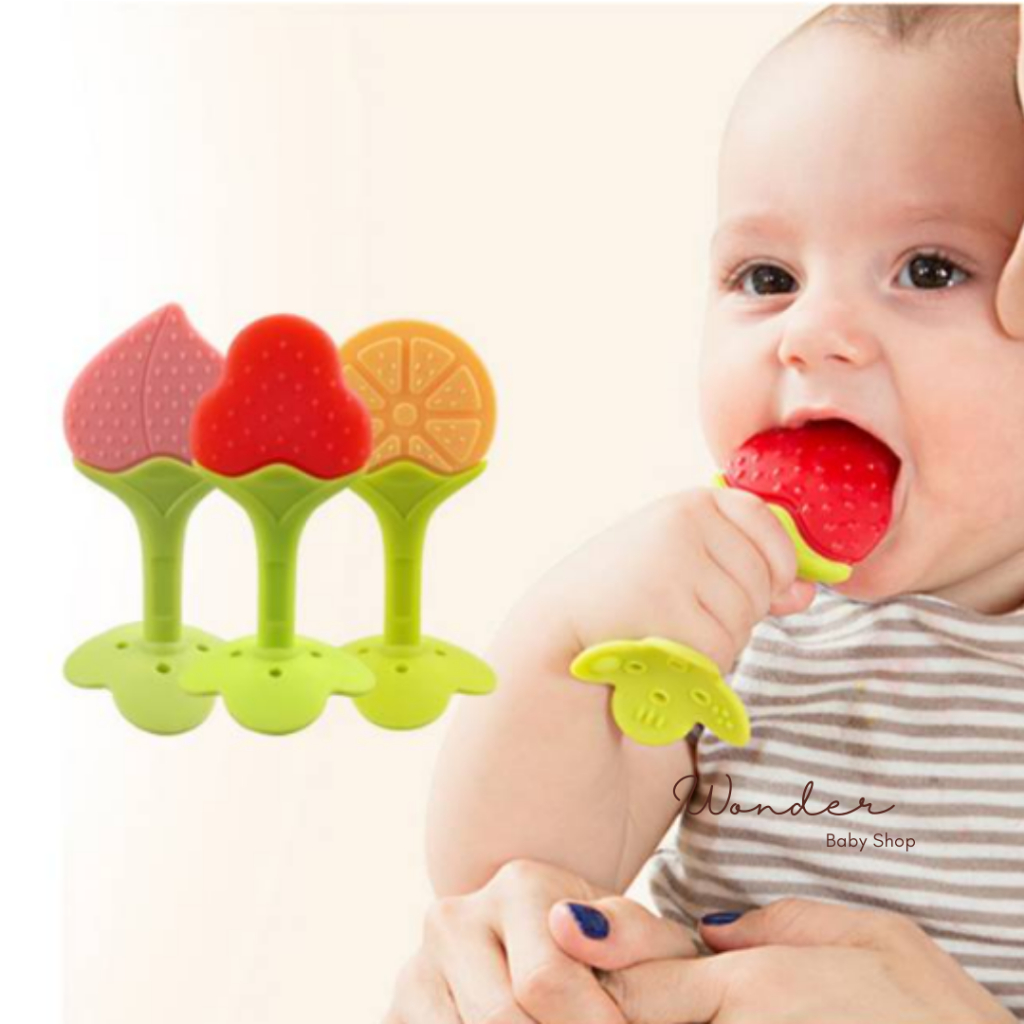 Jual WNDR Teether Bayi Silikon Gigitan Bayi Teether Bentuk Buah Bahan ...