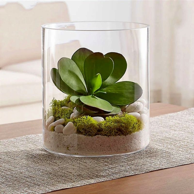 Jual VAS KACA TABUNG TERARIUM / POT KACA HIDROPONIK / VAS BUNGA ...