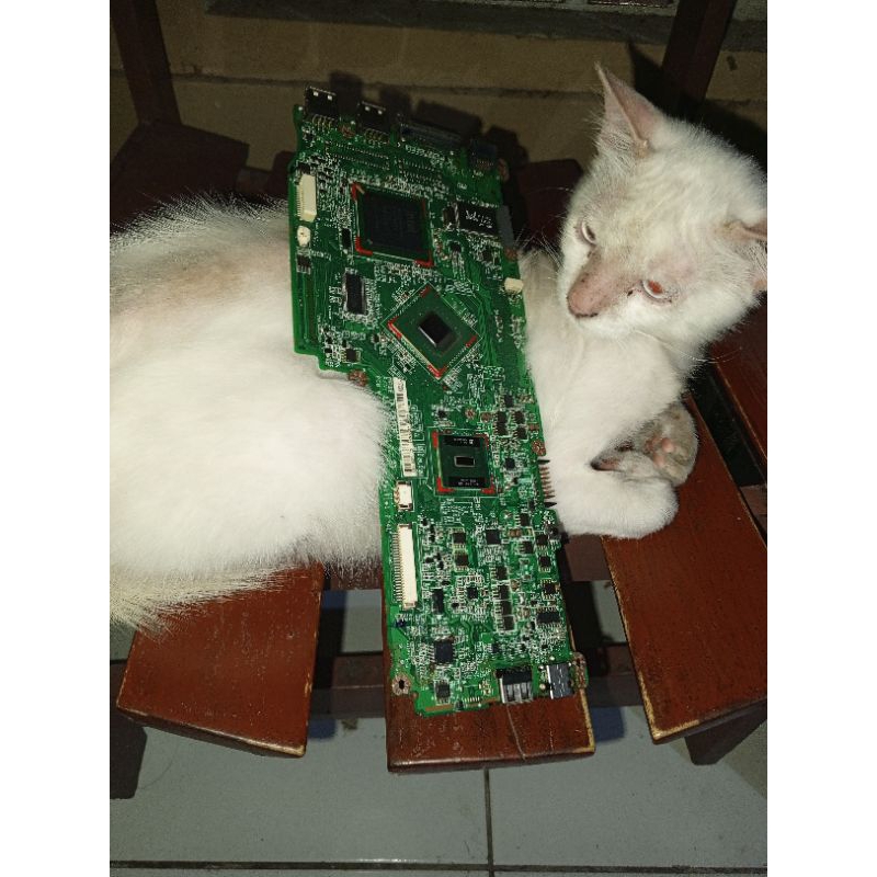 Jual motherboard notebook axioo pico djj normal | Shopee Indonesia
