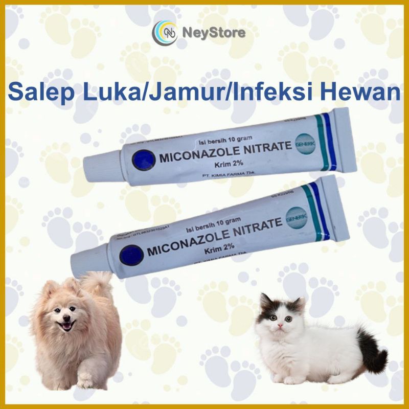 Jual Obat Salep Miconazole Nitrate 10g Jamur Luka Infeksi Kucing Anjing ...