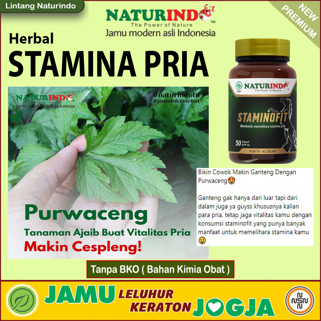 Jual STAMINOFIT Obat Herbal Stamina Pria Naturindo | Shopee Indonesia