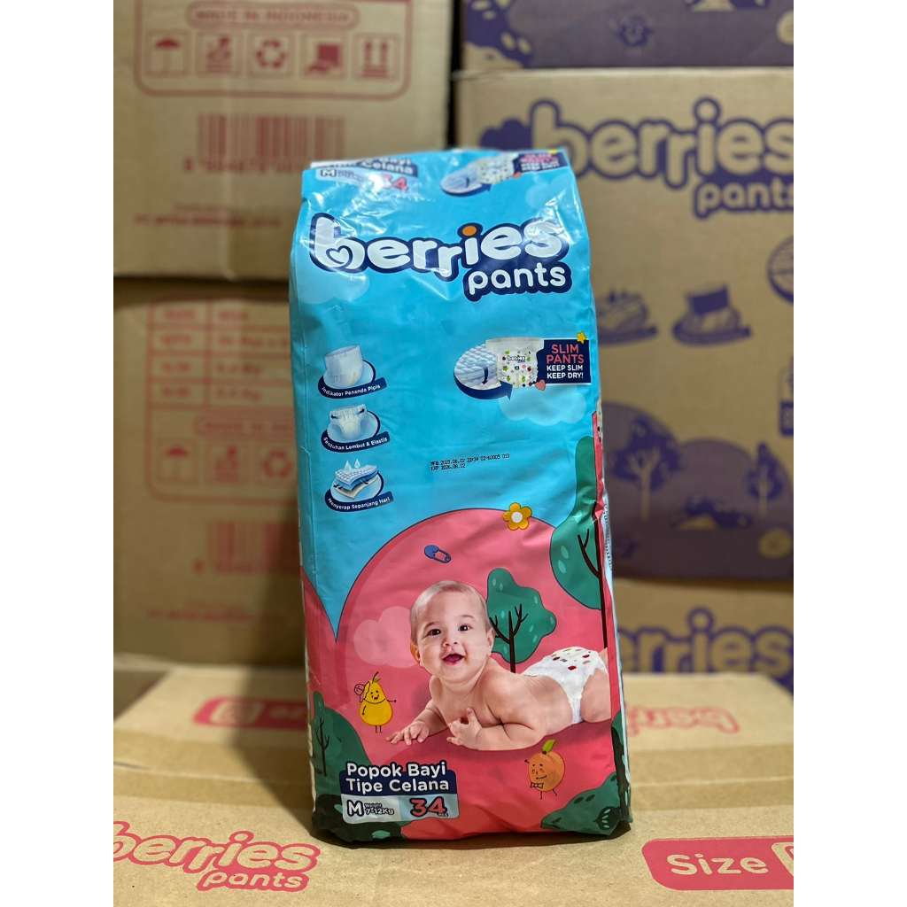 Jual Berries Pants Popok Baby Tipe Celana M34 / L30 / XL26 Popok Bayi ...