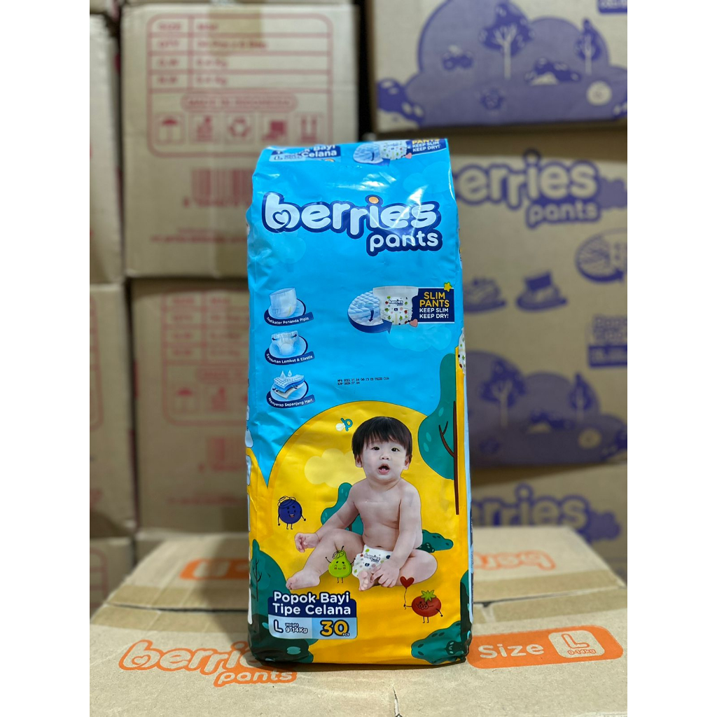 Jual Berries Pants Size L30 Baby Popok Bayi Tipe Celana Murah Ukuran L ...
