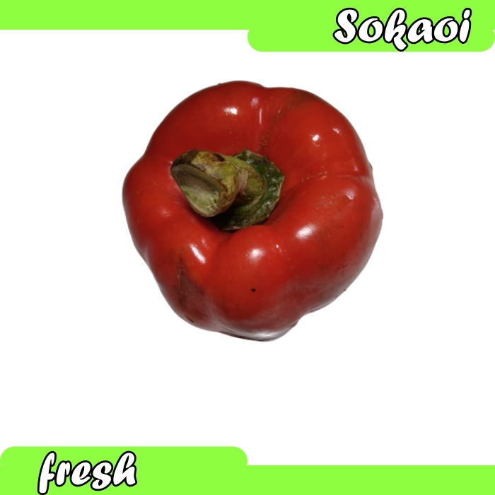 Jual PAPRIKA MERAH RED PEPPER PAPRIKA SEGAR | Shopee Indonesia