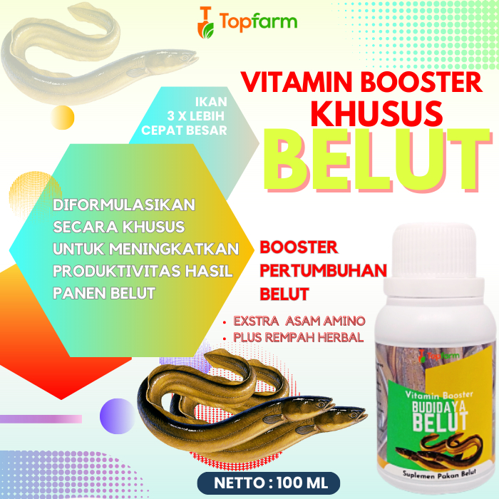 Jual Vitamin Belut / Vitamin Untuk Belut / Vitamin Ikan Belut / Vitamin ...