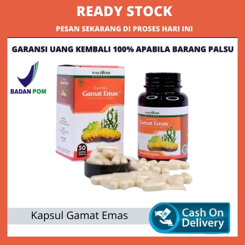 Jual Kapsul Gamat Emas - Gamat Mas Kapsul - Kapsul Gamat Mas - Acep ...