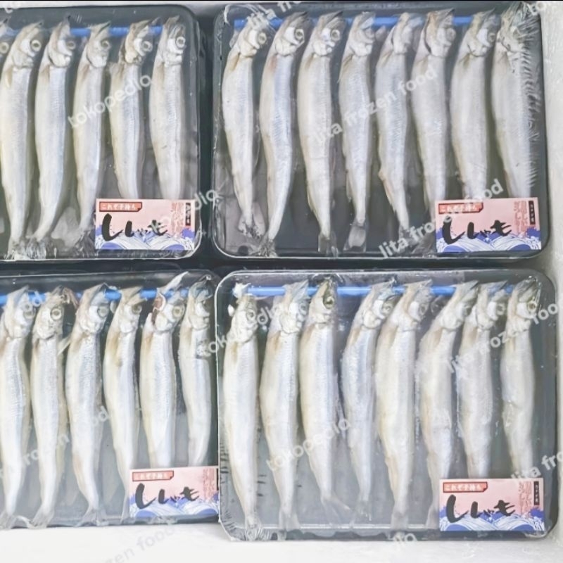 Jual Ikan Shisamo Fish | Capelin Fish Telur Import | Shopee Indonesia