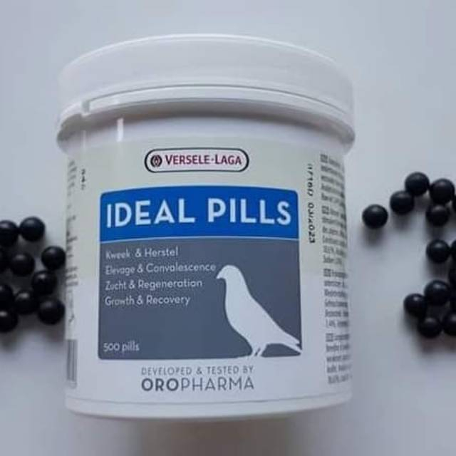 Jual IDEAL PILLS PIL VERSELELAGA VITAMIN JAMU BURUNG MERPATI DARA LOMBA ...