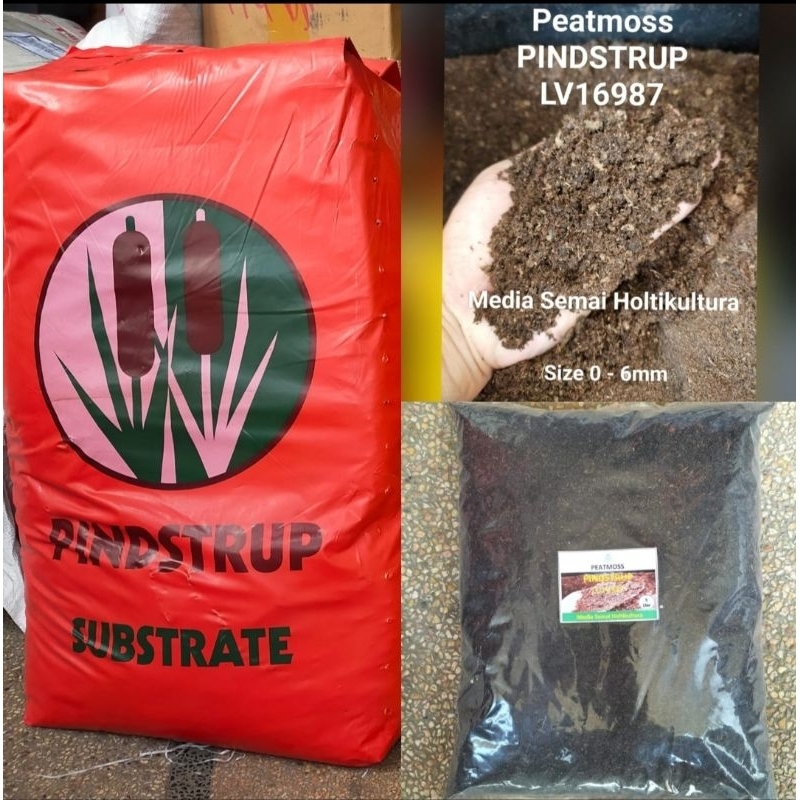 Jual MEDIA TANAM PEATMOSS PINDSTRUP LV 16987 5 LITER SIZE 0-6 MM ...