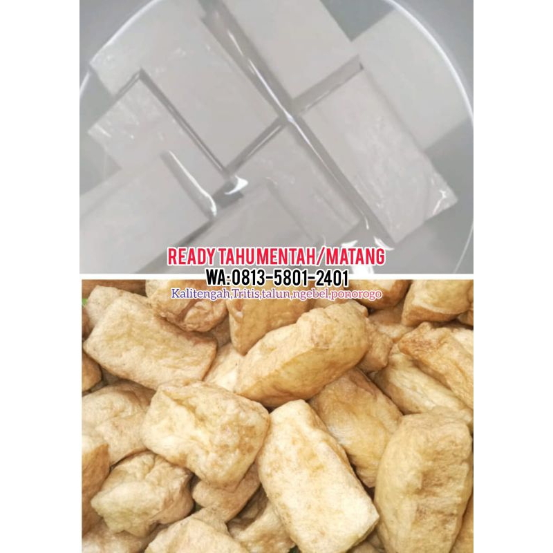 Jual tahu mentah& tahu matang ready setiap hari | Shopee Indonesia
