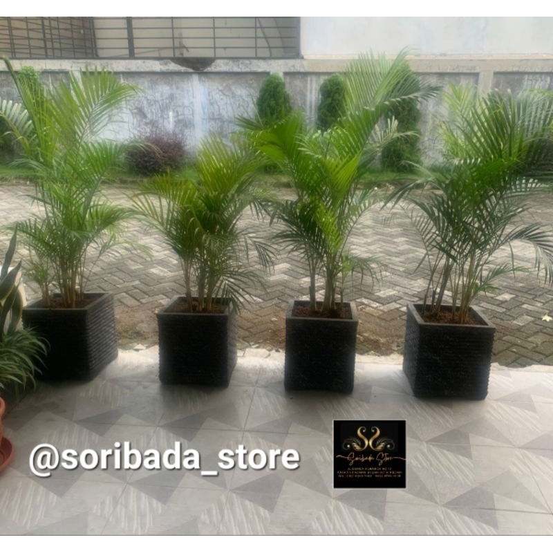 Jual Pot Bunga Batu Alam Model Petak | Pot Bunga Batu | Pot Bunga Keren ...