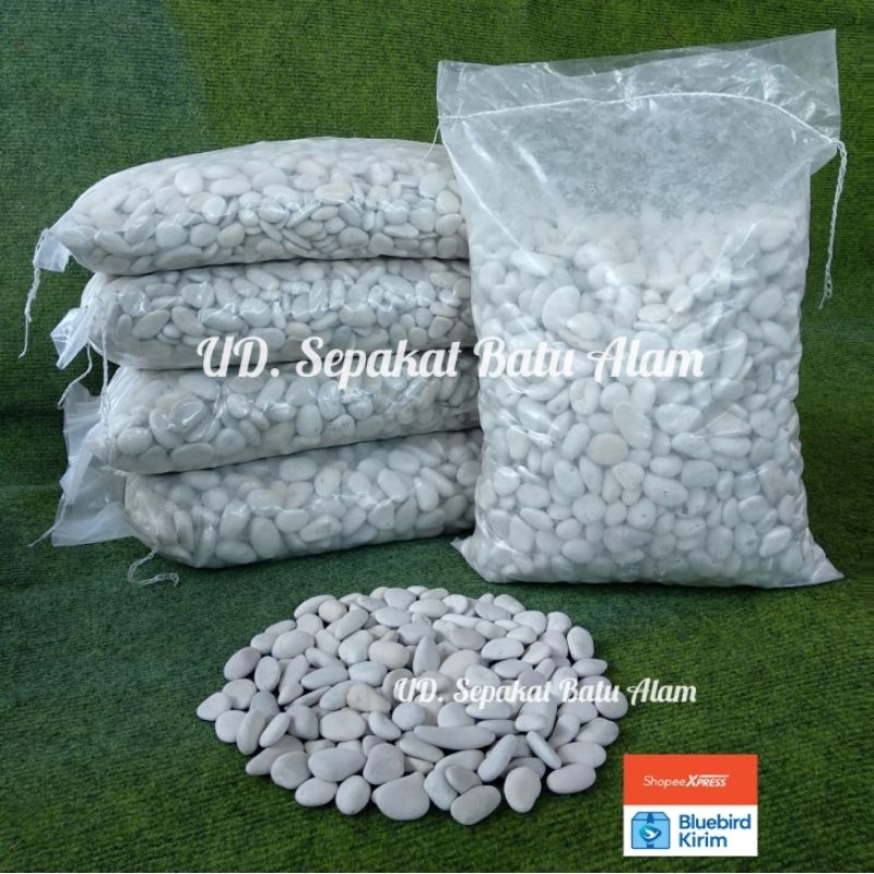 Jual Batu Taman Coral Sikat Putih Doff 10 kg | Shopee Indonesia