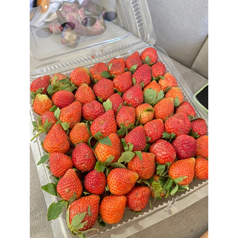 Jual Buah Strawberry fresh 1box mika (1kg) | Shopee Indonesia