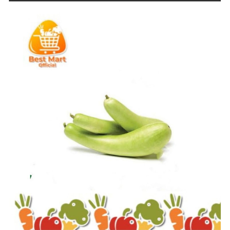 Jual Labu Air / Labu putih 1buah | Shopee Indonesia