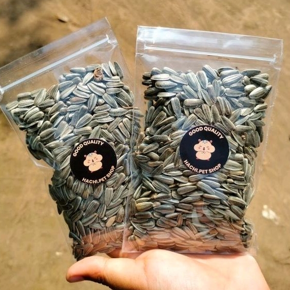 Jual Snack Hamster KUACI || Kuaci pakan hamster protein gizi lengkap ...