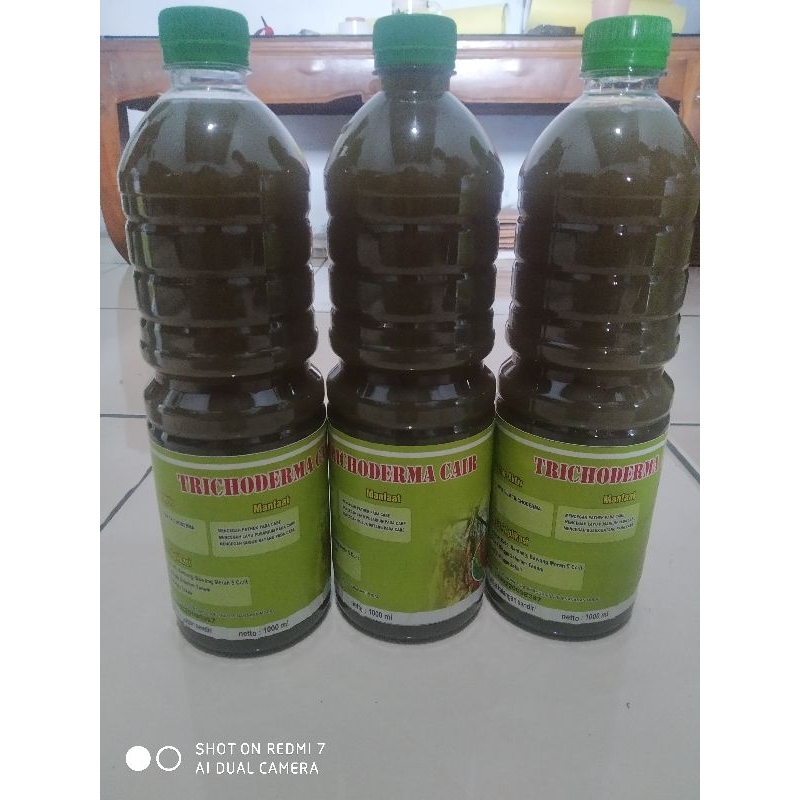 Jual Obat Layu Pusarium Tricoderma Cair biofungisida pencegah layu ...
